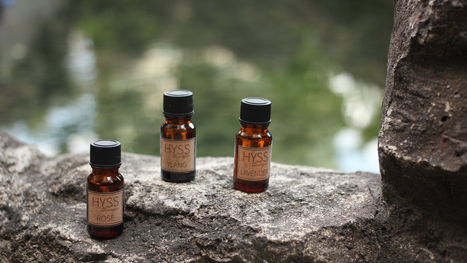 The Ultimate Guide to Herbal Liquid Extracts for Day-long Energy ...